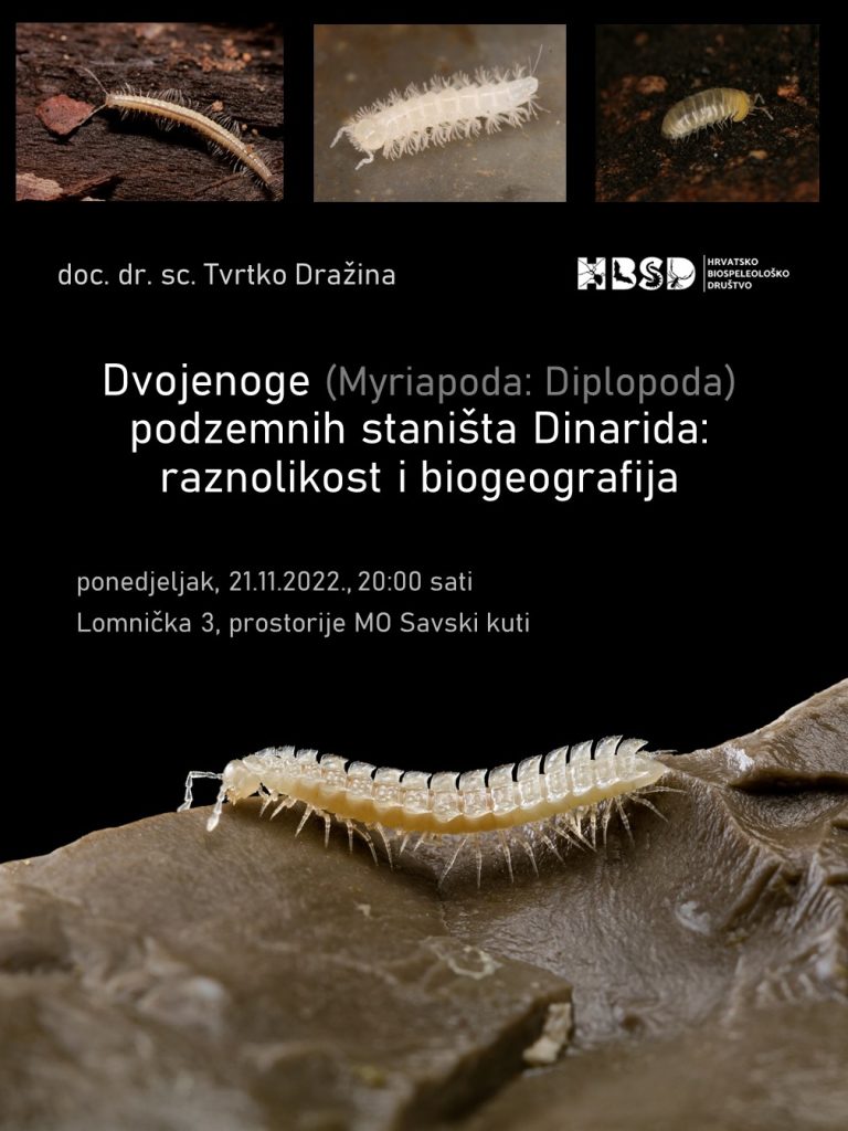 dvojenoge poster – HBSD