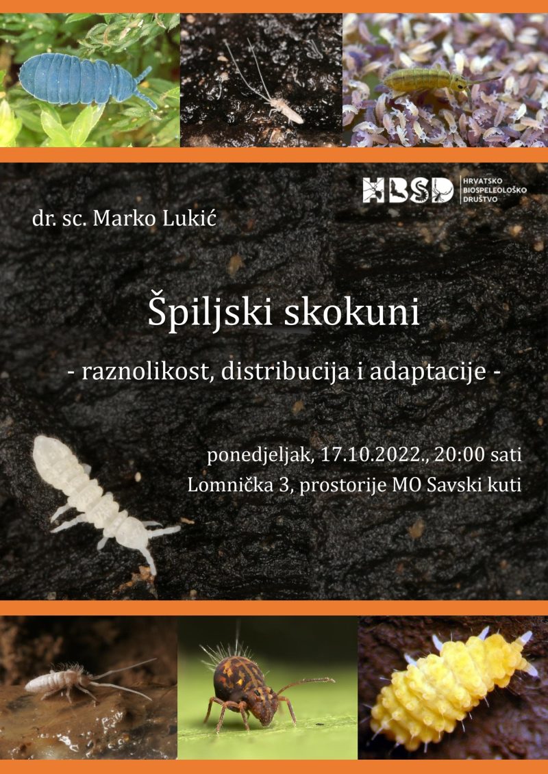 skokuni poster – HBSD